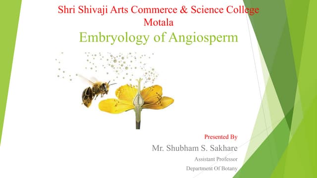 The Embryo sac Structure of Angiosperms | PPTX