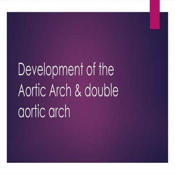 embryology and anatomy of aortic arch .pptx