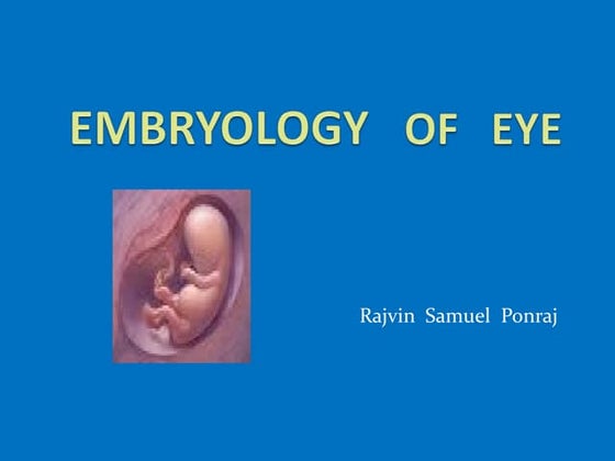 Embryology of the eye | PPT