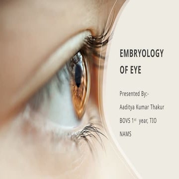 Embryology of the eye | PPTX
