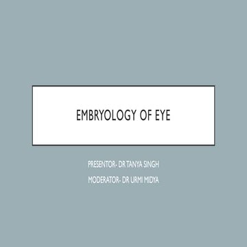 EMBRYOLOGY OF THE EYE ( A brief description) | PDF