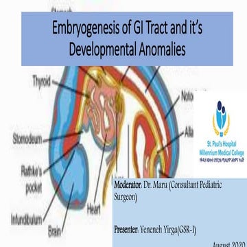 Embryology of GIT malformations by Dr. Yeneneh | PPTX