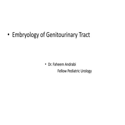 Embryology of Genitourinary Tract | PPTX