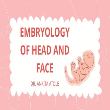 "Embryology of the Head and Neck: Key Concepts for Dental Students ...