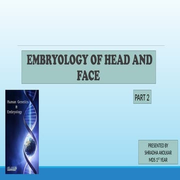 embryology of head and face 2 ,pediatric and preventive dentistry | PPTX