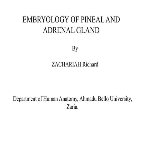 Embryology of pineal and adrenal gland by Zachariah Richard | PDF