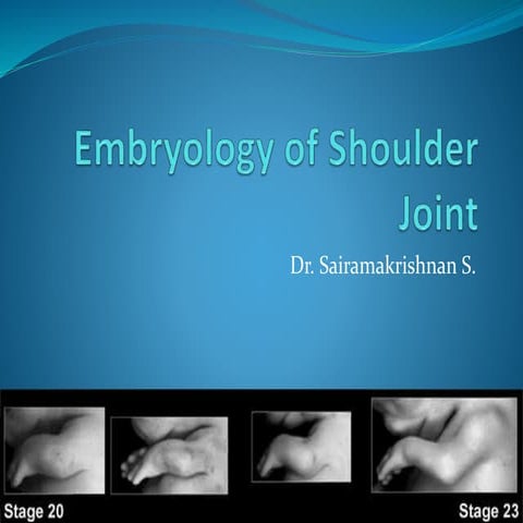 Embryology of shoulder joint | PPTX