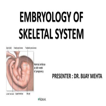Embryology of skeletal system | PPT