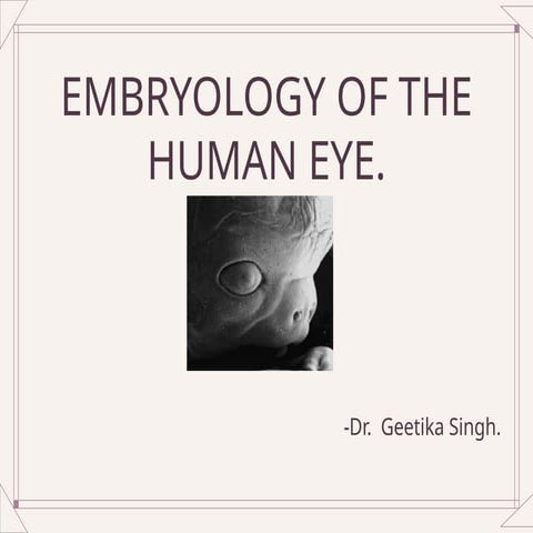 Development of eye. | PDF