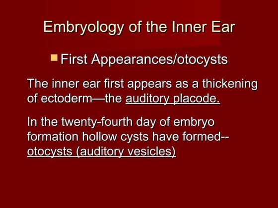 Embryology of the ear | PPT | Ear, Nose and Throat Conditions ...