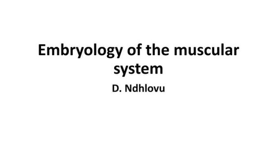 Muscular system embryology for medical students | PPT