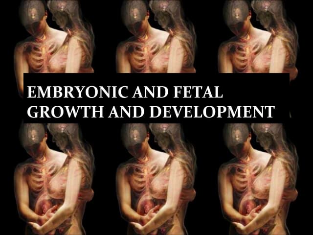 Human embryonic development | PPT | Infertility | Reproductive Health