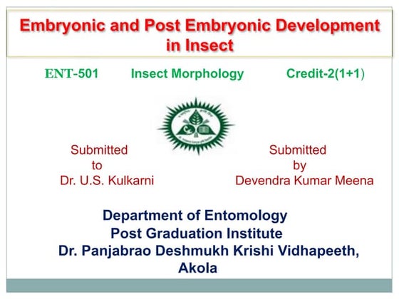 Embryological development in insect | PPT