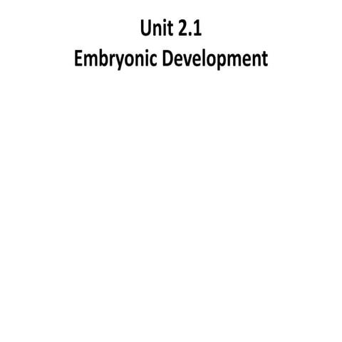 Embryonic period | PPTX