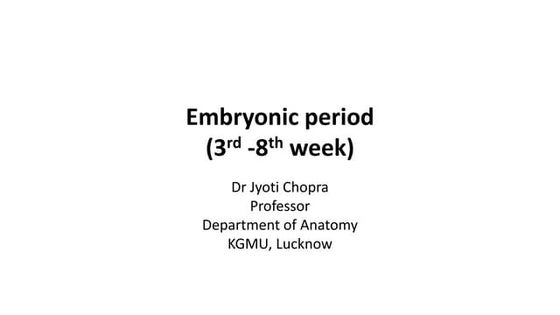 Trilaminar germ disc (week 3 embryology) | PPTX