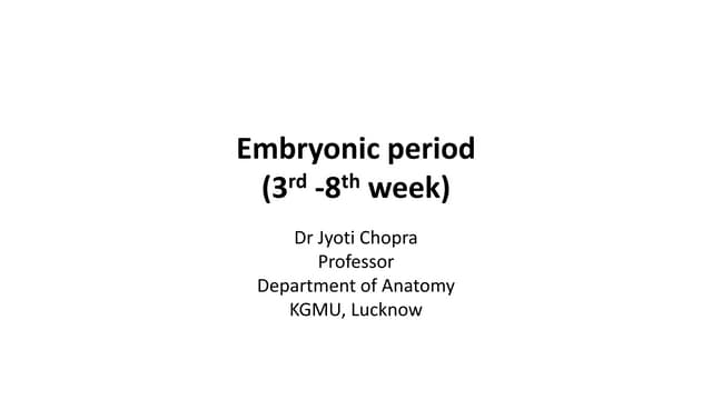 Trilaminar germ disc (week 3 embryology) | PPTX