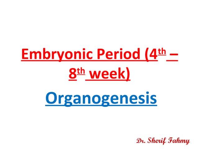 Trilaminar germ disc (week 3 embryology) | PPTX