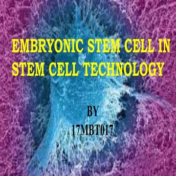 Embryonic stem cell | PPTX