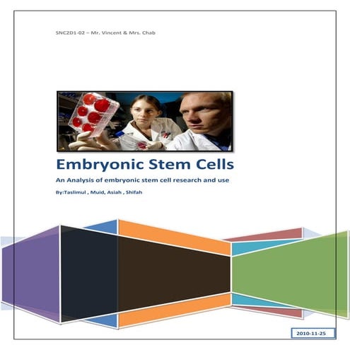 Embryonic stem cell report | PDF