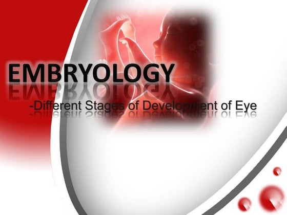 Embryology of the eye | PPT