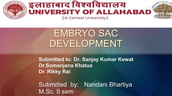 Types of embryosac | PPTX | Infertility | Reproductive Health