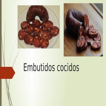 Embutidos-crudos TECNICAS.pdf