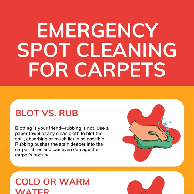 Emergency Spot Cleaning for Carpets.pdf