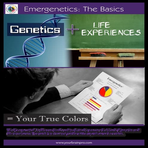 Emergenetics The Basics | PDF