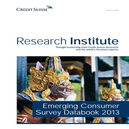 Emerging Consumer Survey Databook 2013 | PDF