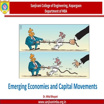 Emerging economies and capital controls | PDF