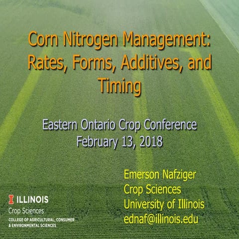 4. Corn Nitrogen Management - Emersion Nafziger | PPT