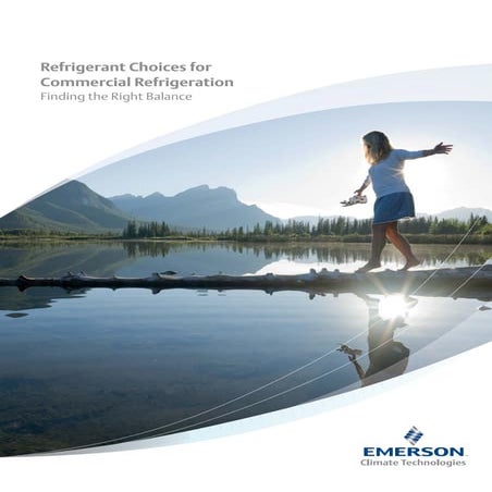 Emerson climate technologies 2010 - Refrigerant choices for commercial ...