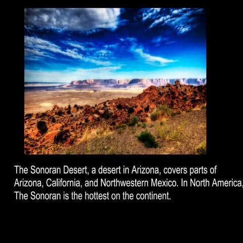 Emile Harmon: Sonoran Desert | PPT