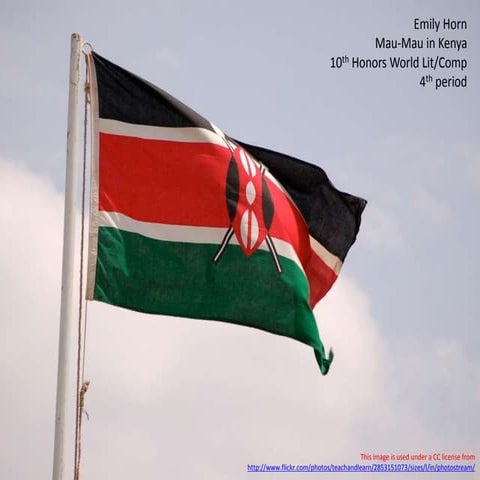 Emily H. Issues in Africa | PPTX