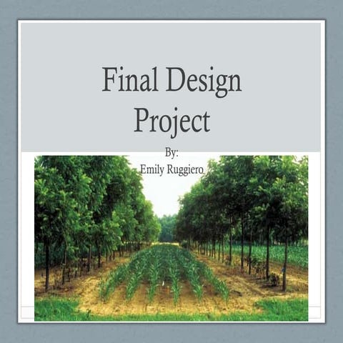 Emily ruggiero final design | PPT