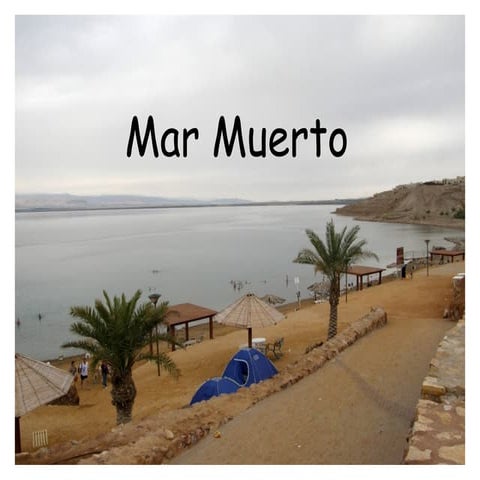 Mar muerto | PPS