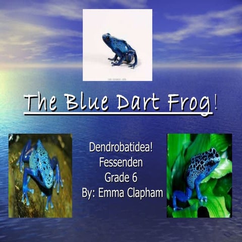 Emma clapham the blue dart frog! | PPT