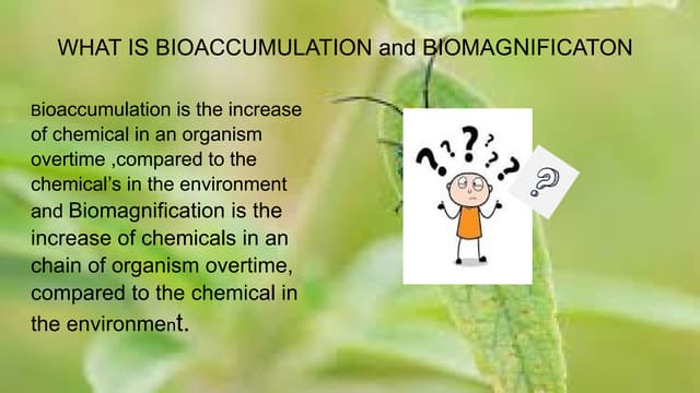 Bioaccumilation | PPTX