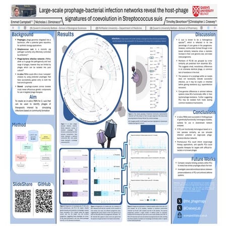 Large-scale prophage-bacterial infection networks reveal the host-phage ...