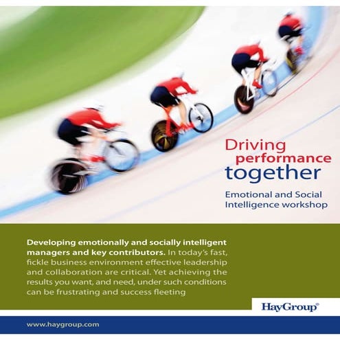 Emotional And Social Intelligence Workshop Brochure | PDF