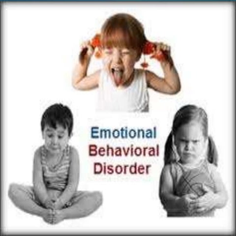 Emotional and Behavioral Disorder | PPTX | Mental Health | Diseases and Conditions