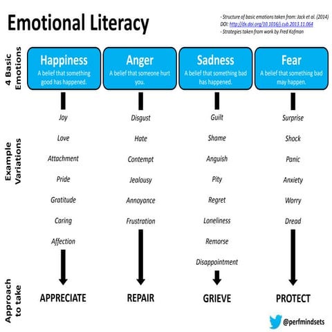 Emotional literacy and related behavioural stategies | PPTX