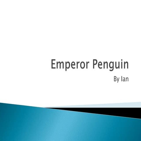 Emperor penguin | PPTX