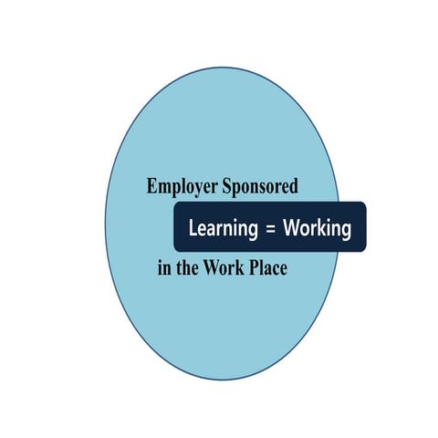 Employer sponsored learning in the work place | PPTX