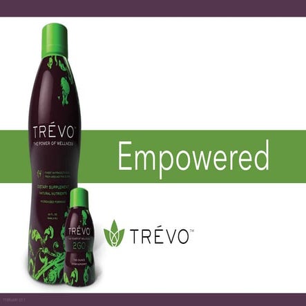 TREVO-BROCHURES[1] | PDF