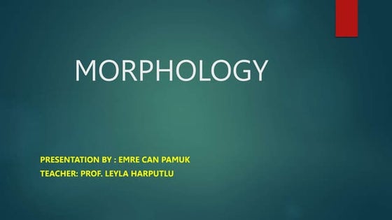Morphophonemic: Morphemes & allomorphs, morphological processes.pptx.pptx