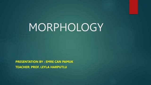 Morphology (Linguistics) | PPTX