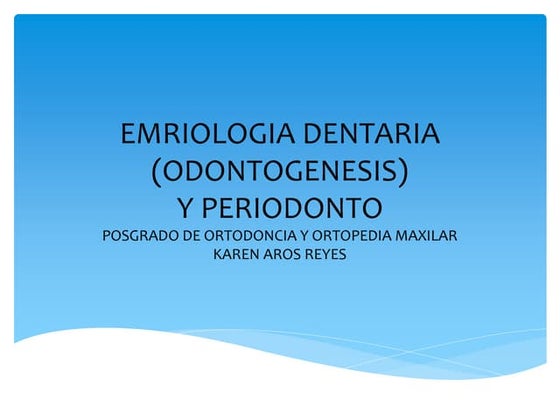 Odontogenesis | PDF | Dental Health | Diseases and Conditions