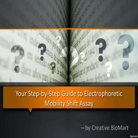 Your Step-by-Step Guide to Electrophoretic Mobility Shift Assay | PPTX