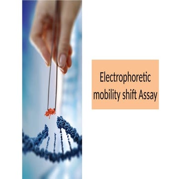 EMSA(Electrophoretic mobility shift assay.ppt
